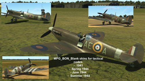MPG - Spitfire Vb Blank skins for Channel 1941 and BON. / Spitfire ...